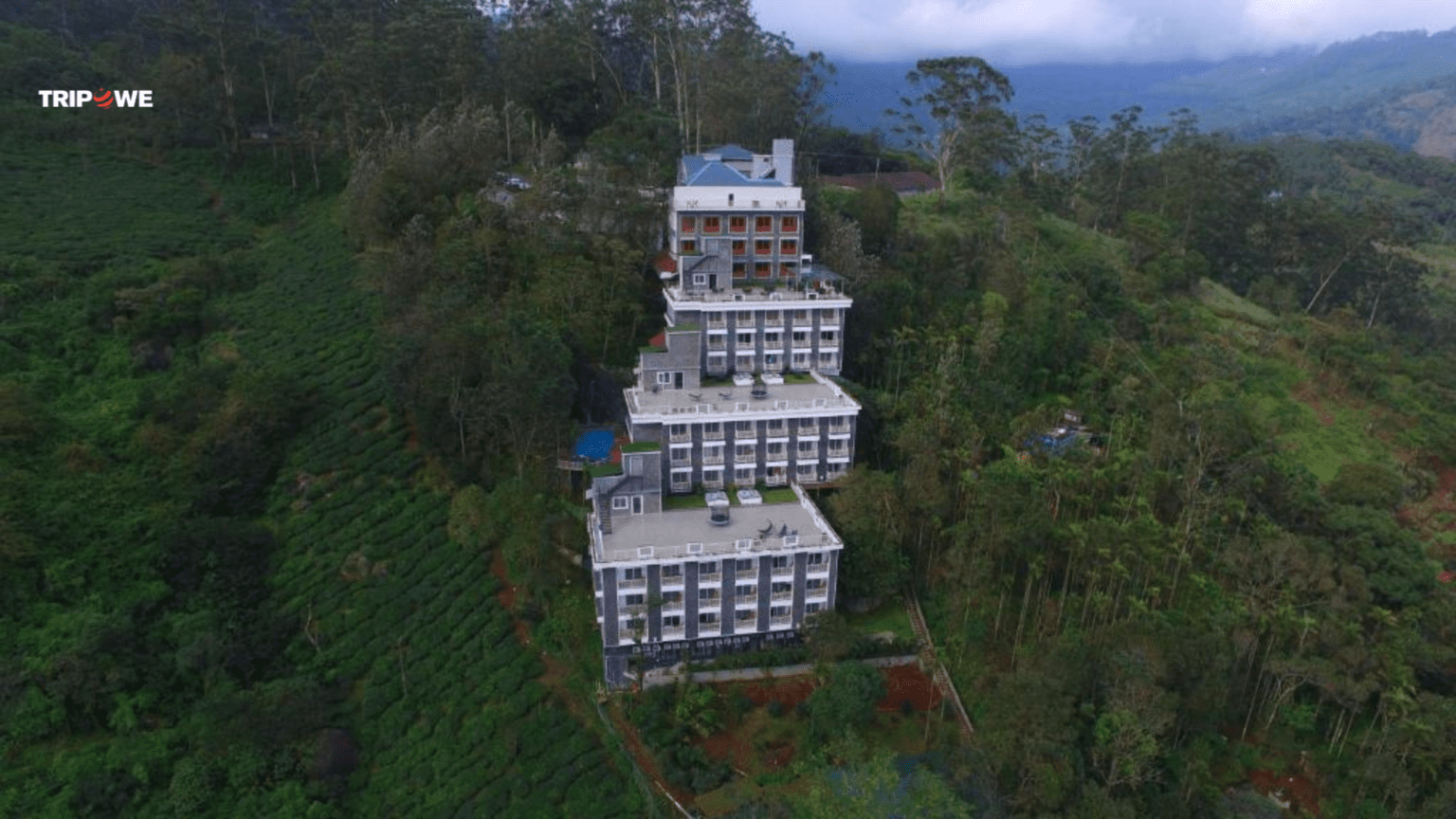 The Ultimate Guide to Best Resorts in Munnar - Tripowe