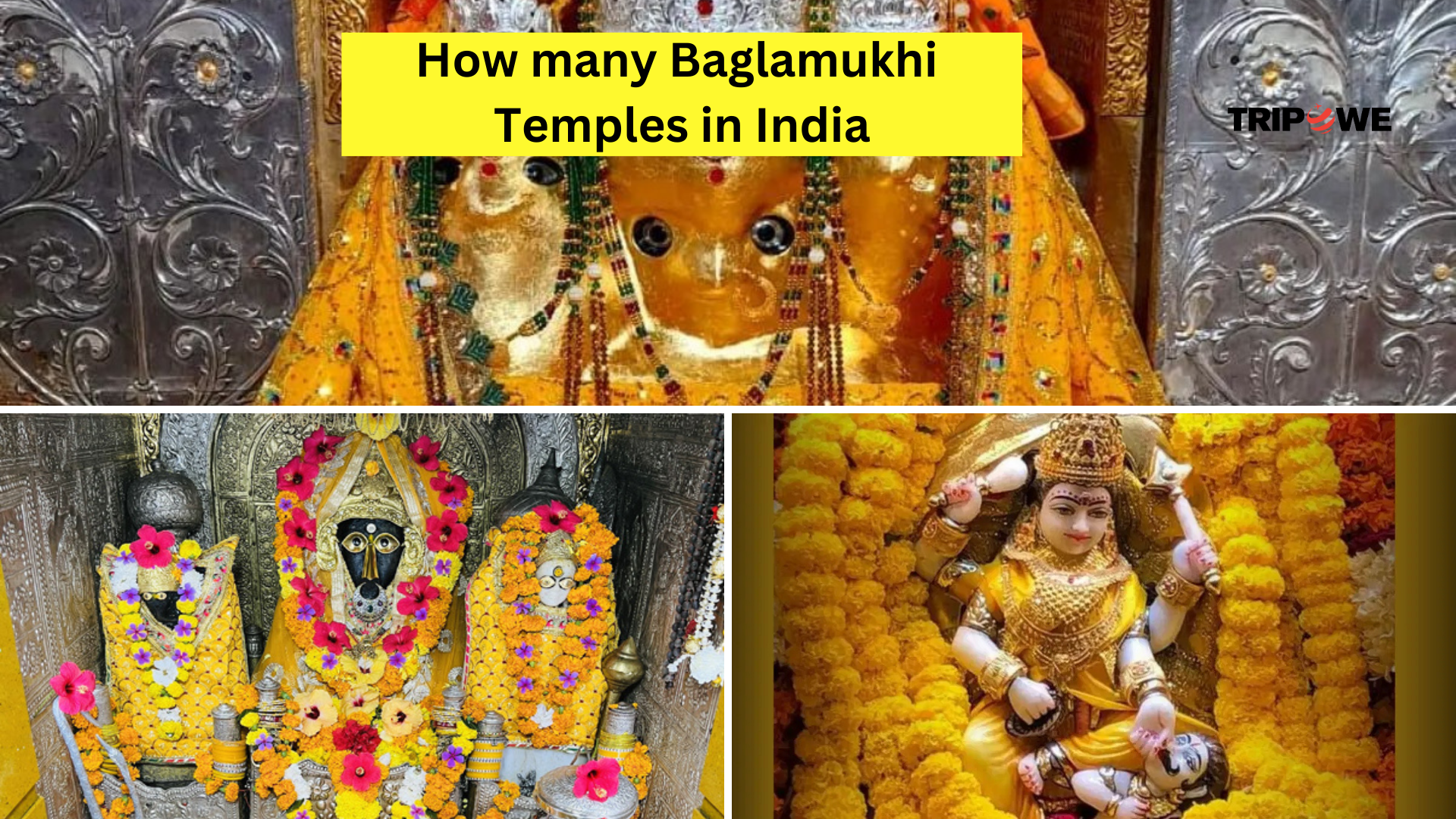 Baglamukhi Temple : Sprituality of Temple and their Hawan kriya - Tripowe