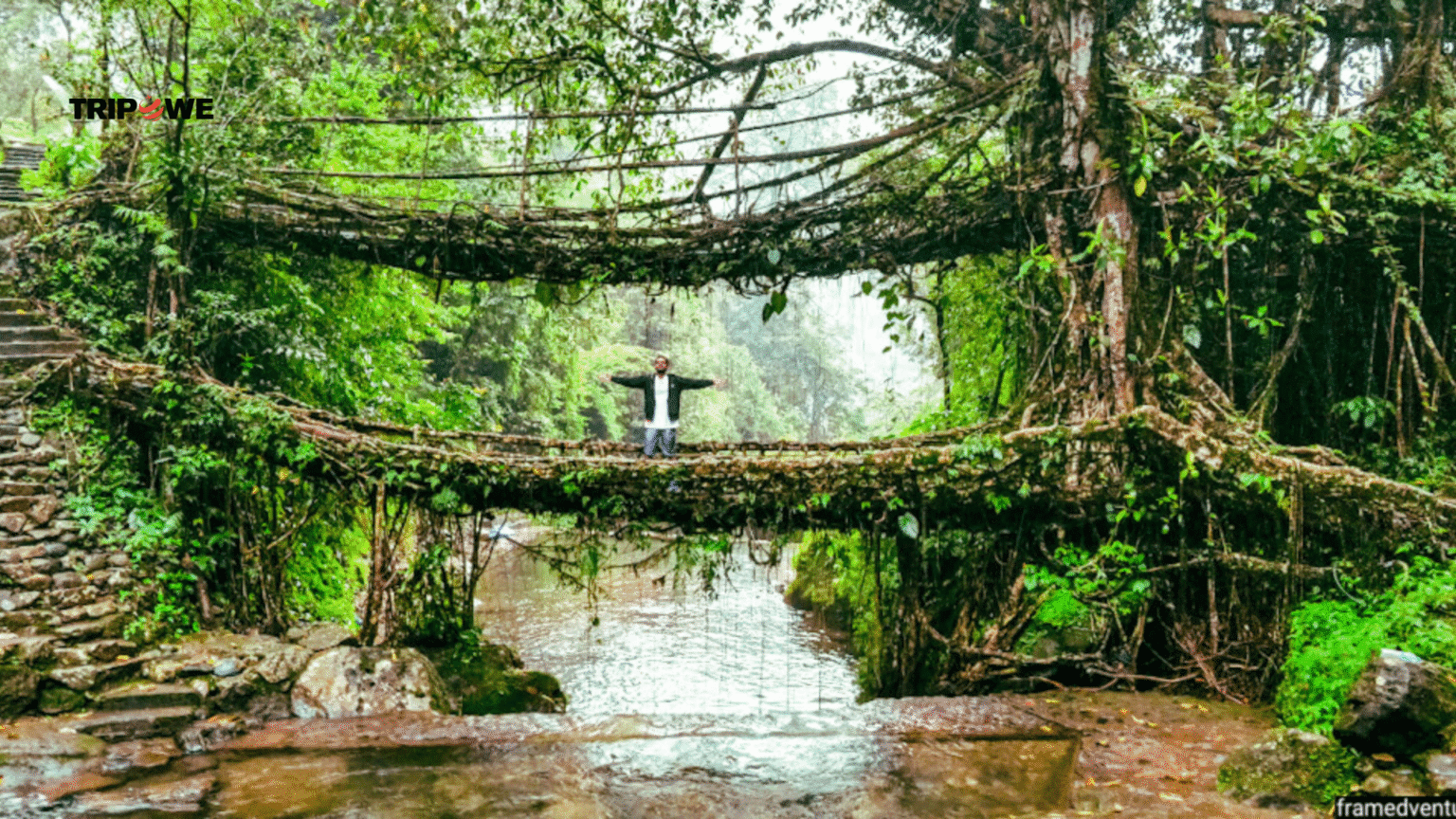 Best Places to Visit in June in India with Family Updated 2025 - Tripowe