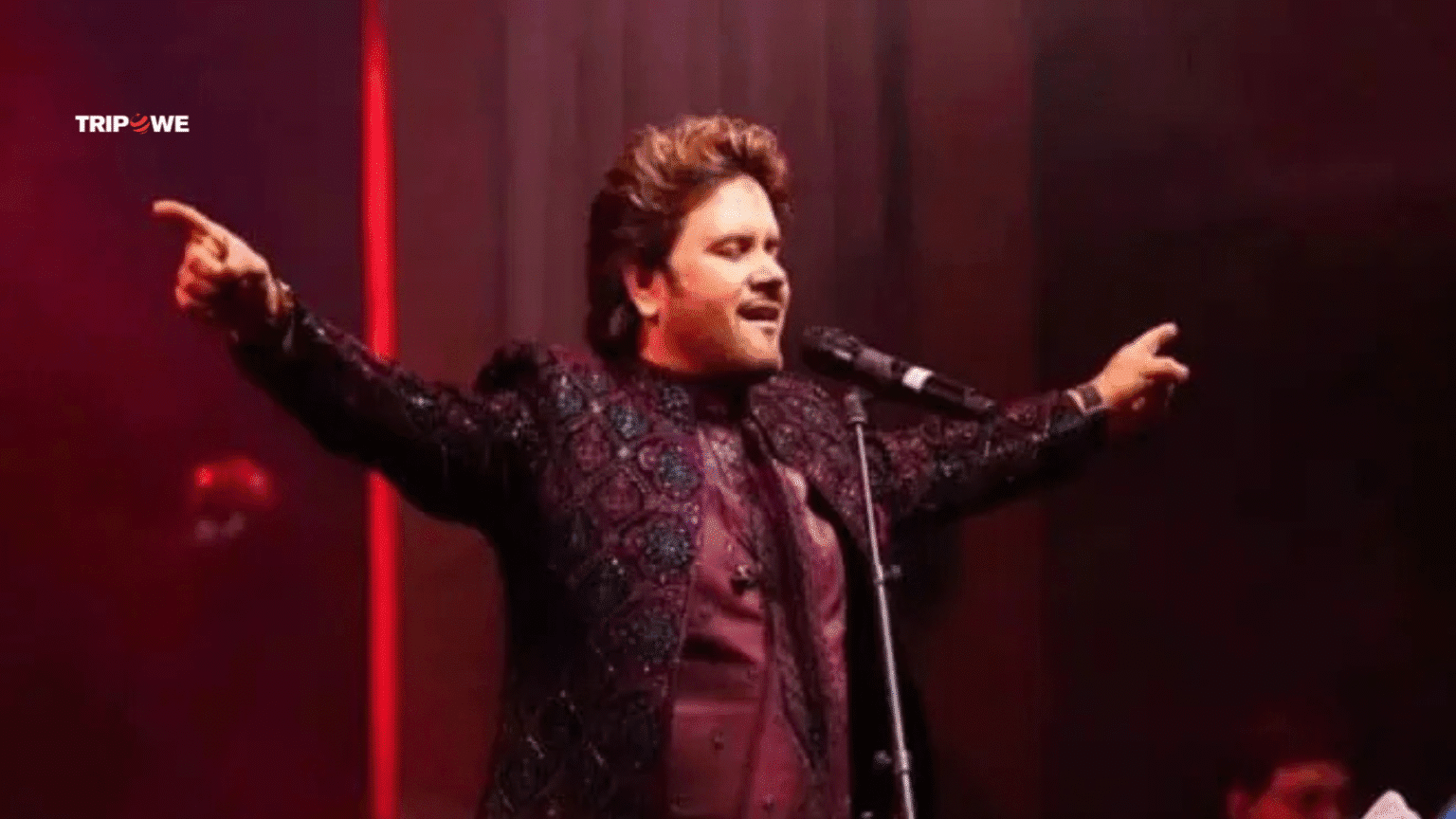 Top Upcoming Concerts in Delhi 2025 – May & June 2025 🎤 - Tripowe