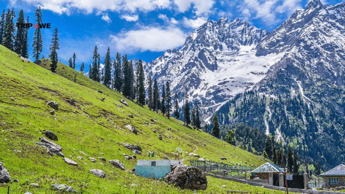 Best Places to Visit in June in India with Family Updated 2025 - Tripowe