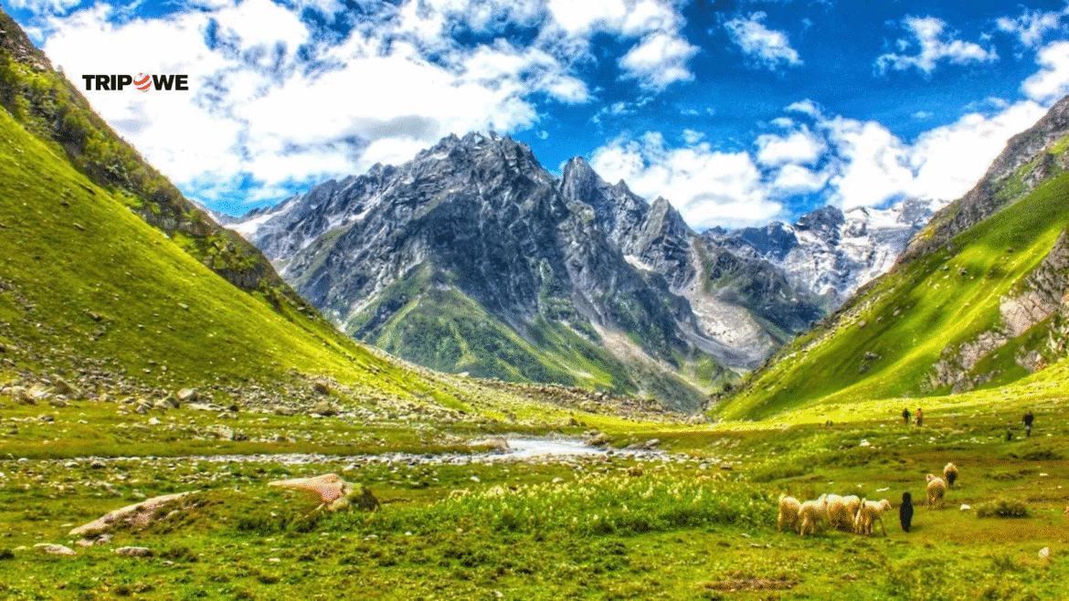 8-Day Spiti Valley Itinerary: A Complete Travel Guide for Mountain ...